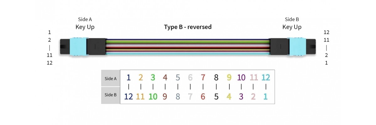 Mpo Mtp Cable Assembly - JTOPTICS