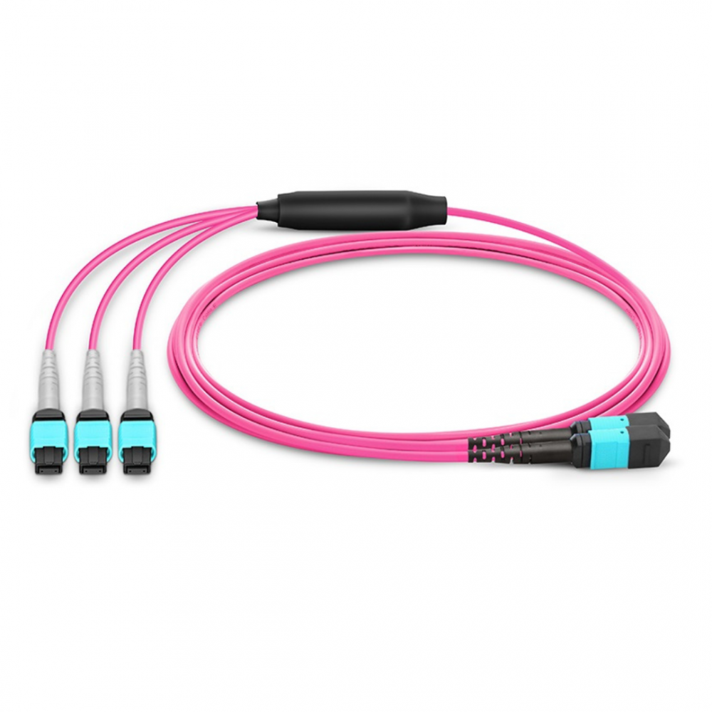 24 Fiber MM Om4 Breakout Mpo Trunk Cable 24F Mpo (F) to 3 x 8F Mpo (F ...